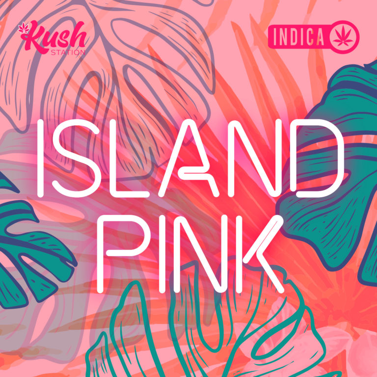 Island Pink Kush | Buy Island Pink Kush Strain Online |Kush Station