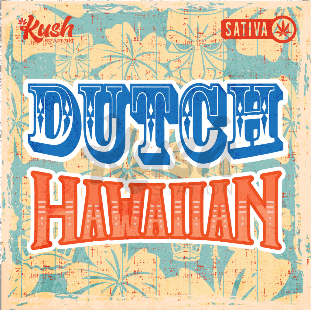 Dutch Hawaiian - Kush Station