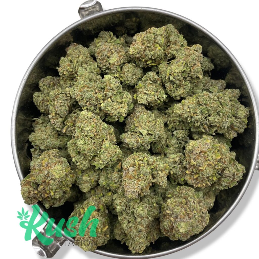 Cinderella 99 Sativa | Buy Cinderella 99 Strain Online | Kush Station