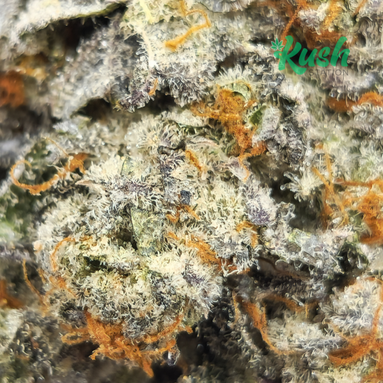 Cold Snap by Mr. Nice (LSO) | Buy Cold Snap Online | Kush Station