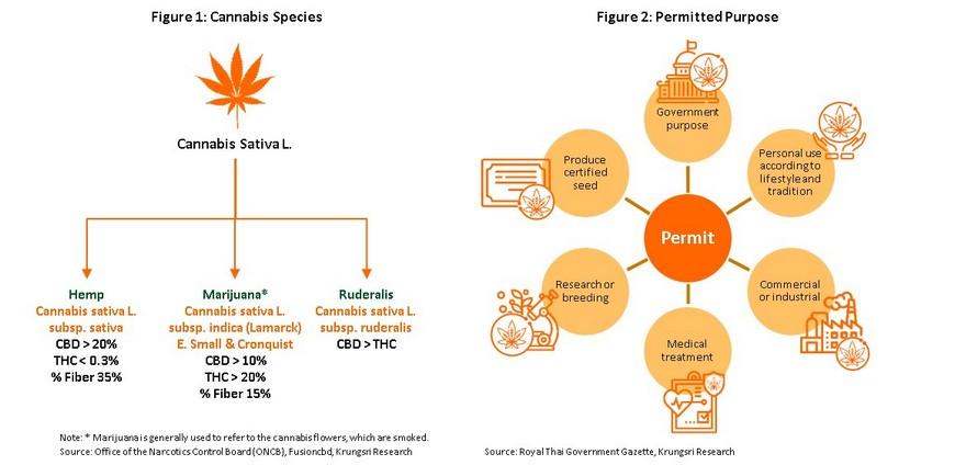 Types of cannabis and industrial hemp licenses