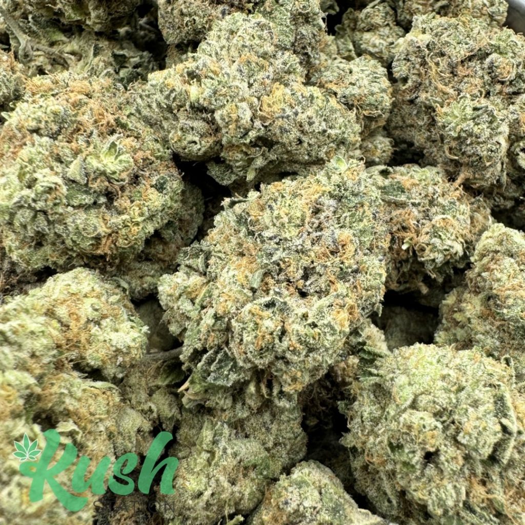 Pine Cone - Kush Station